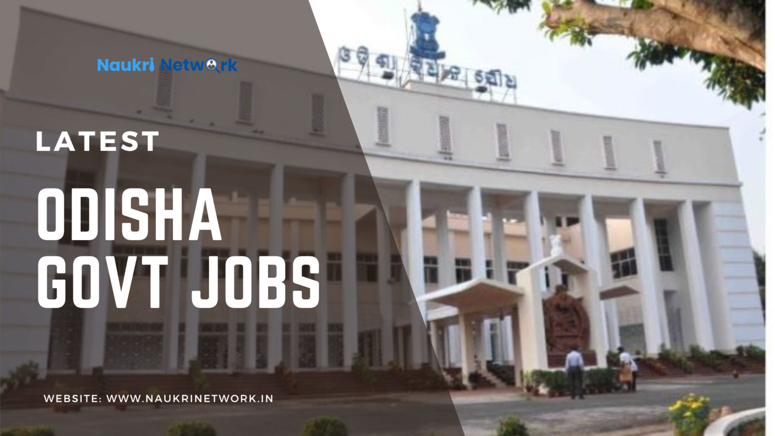 Latest Odisha Govt Jobs Recruitment: Exam, Eligibility, Fees